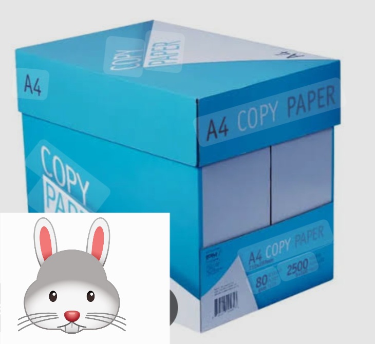 A4 Ream Paper 80gm (500sheets) | Ask the Moms